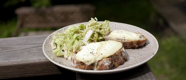 Tartines au fromage de chèvre chaud et tomates | Biodélices Tartines au fromage de chèvre chaud et tomates | Biodélices